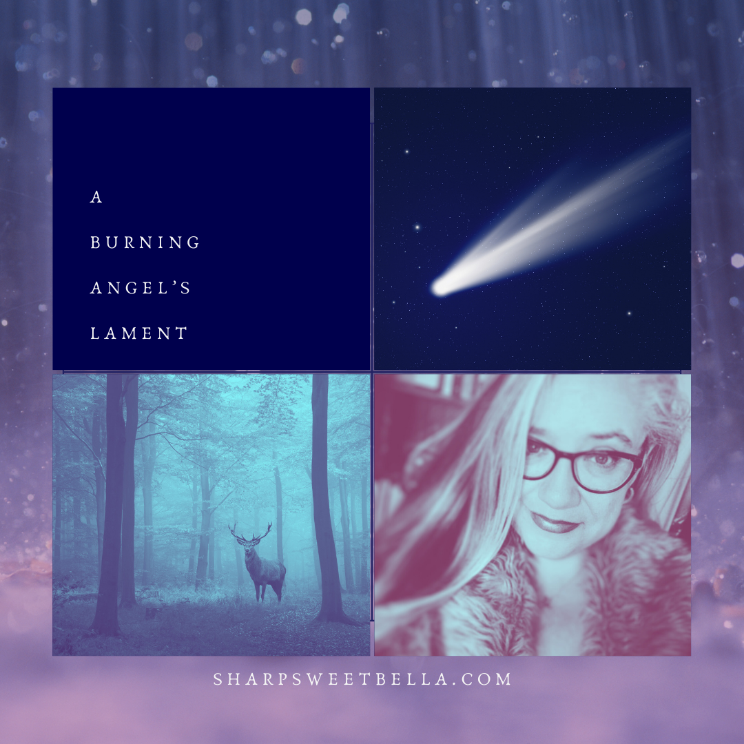 The burning angel’s lament – La Madonna Rosa
